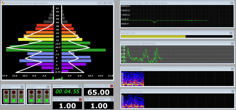 Practitioner Kit – The Mind Mirror Shop